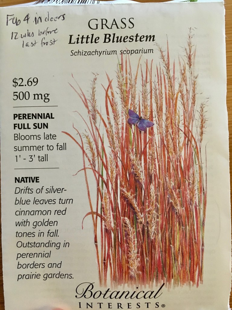 Planning first round of seeds: little bluestem and viola – Andrea's ...