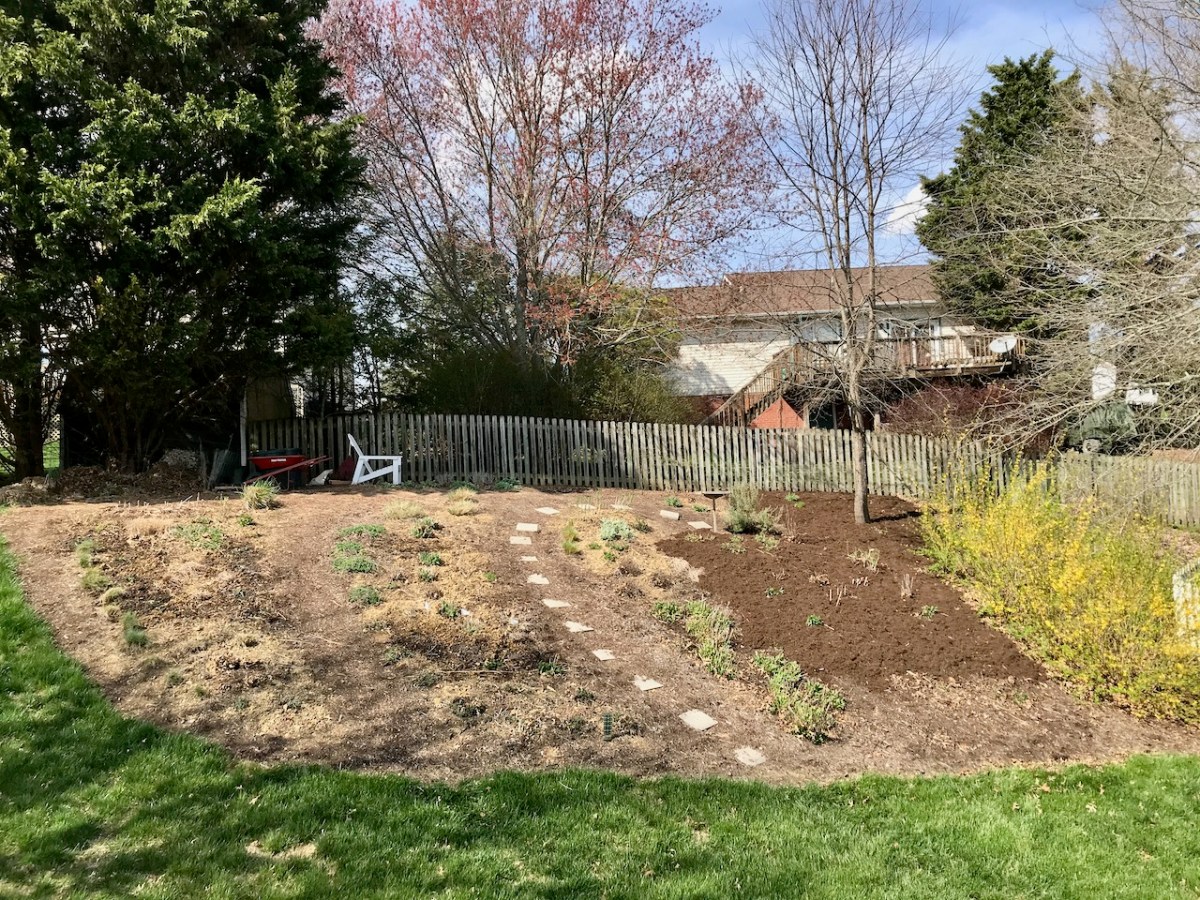 March 28: new plants and physical distancing – Andrea's Gardening Blog